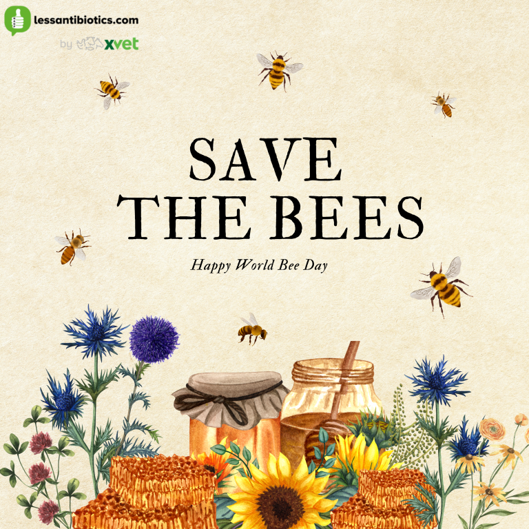 Save The Bees • Less Antibiotics by XVET GmbH