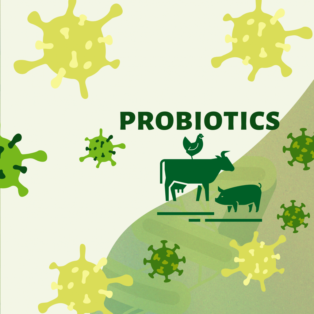 Harnessing Nature's Power: '' Probiotics '' • Less Antibiotics by XVET GmbH