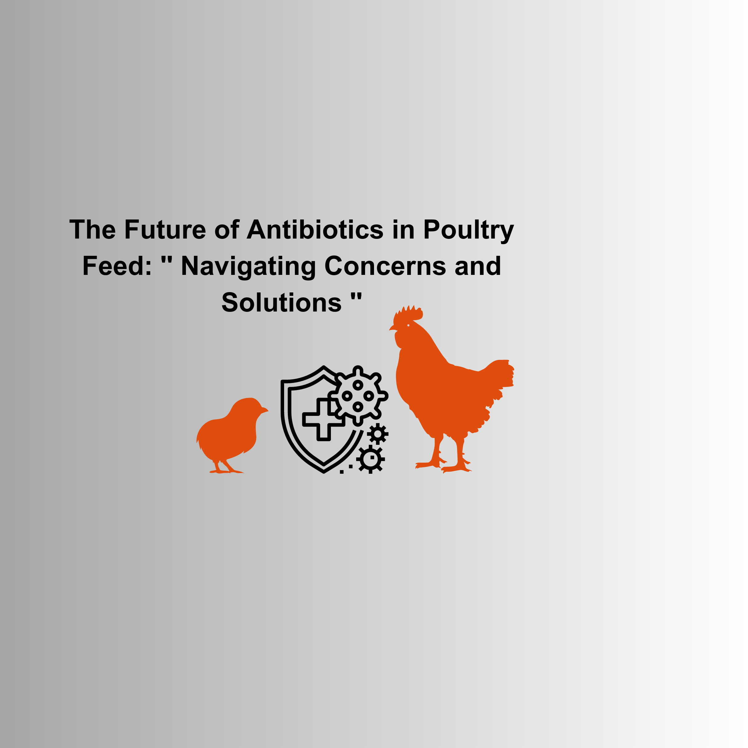 The Future of Antibiotics in Poultry Feed: • Less Antibiotics by XVET GmbH